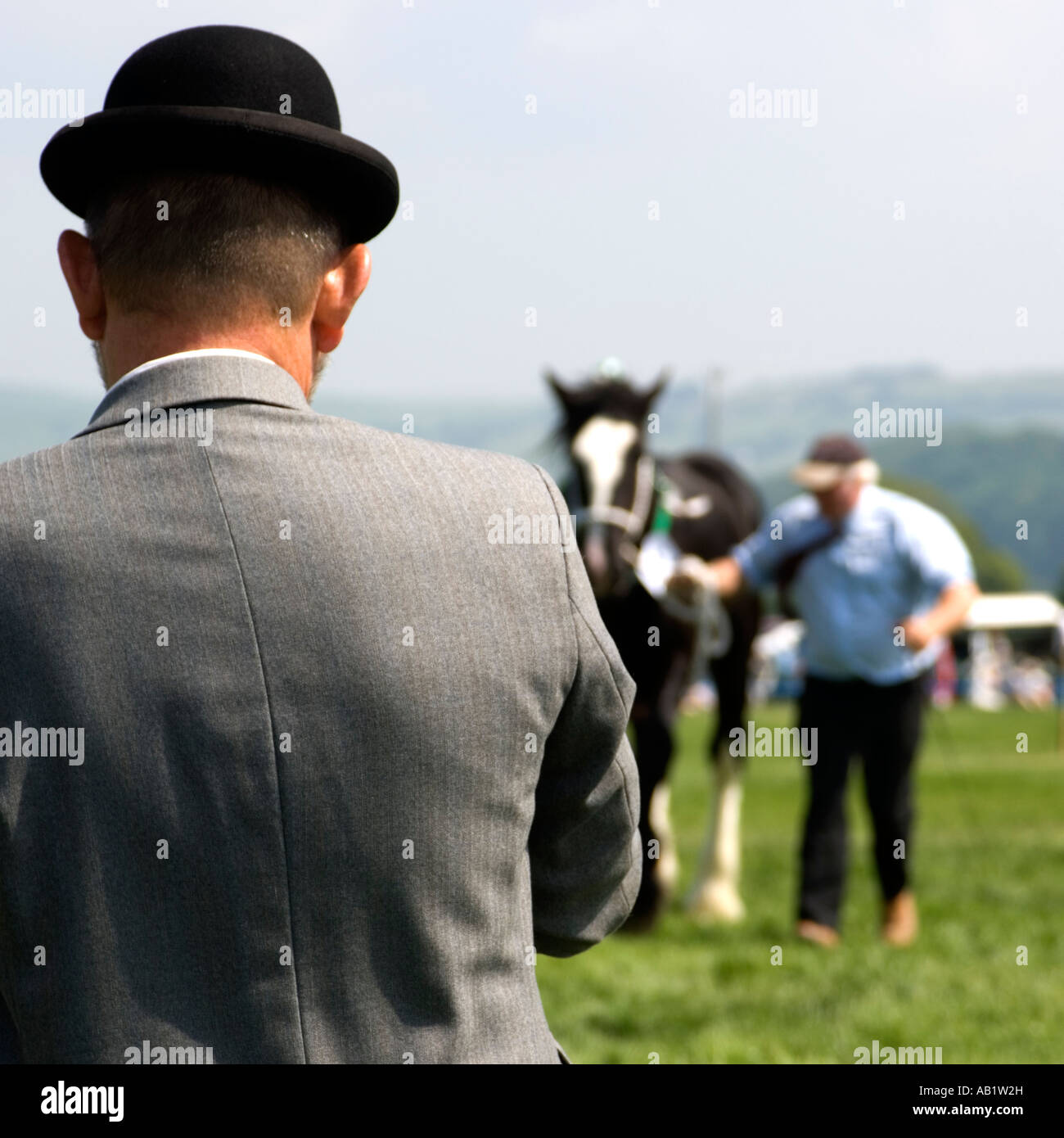 rear view over the shoulders of a man in bowler hat judging shire horse ...