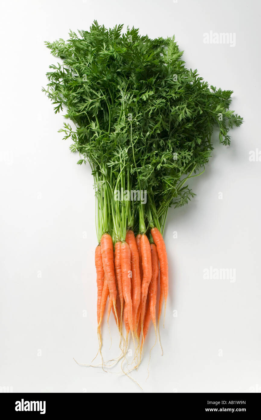 Fresh carrots FoodCollection Stock Photo - Alamy