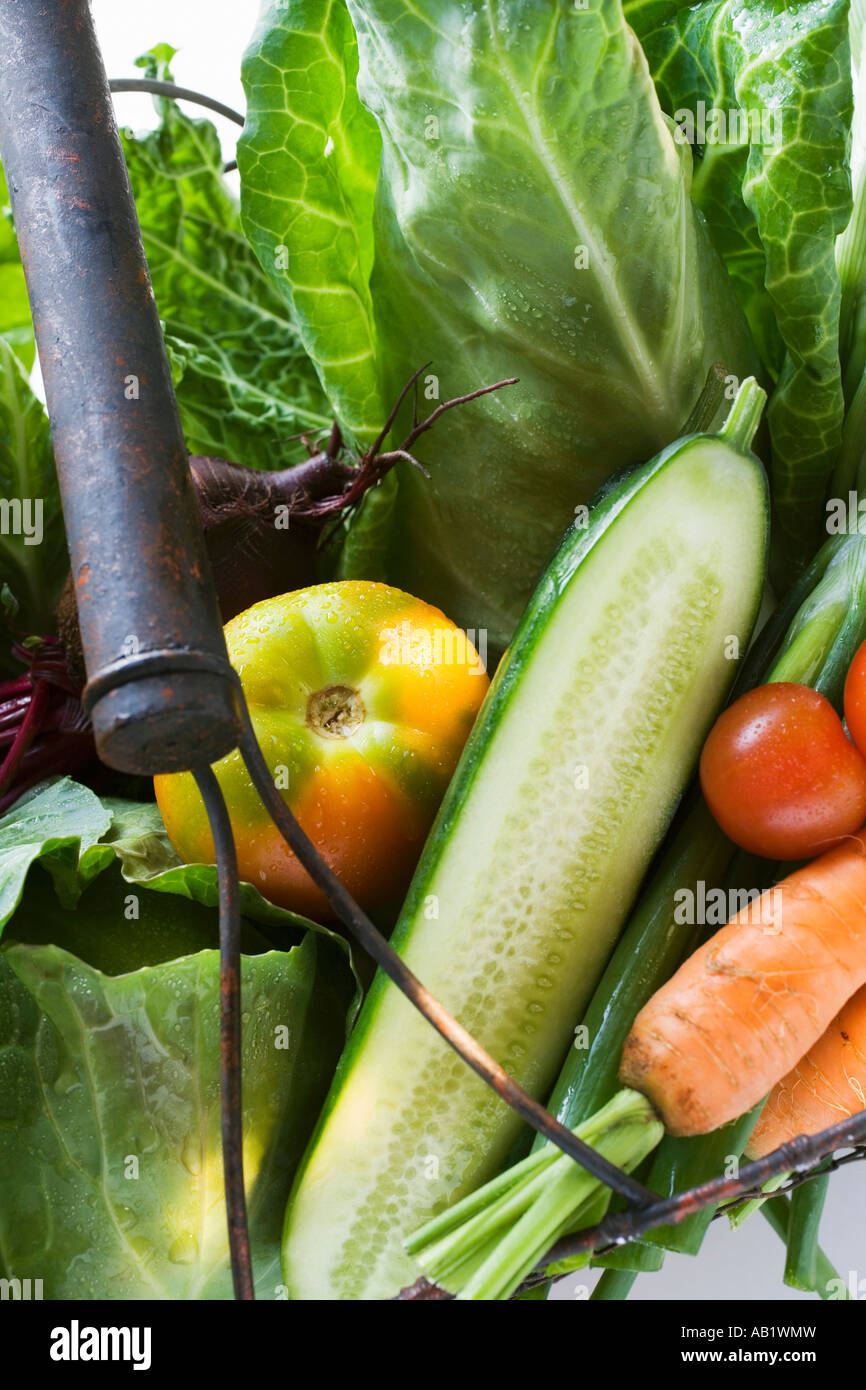 Fresh vegetables in wire basket close up FoodCollection Stock Photo - Alamy