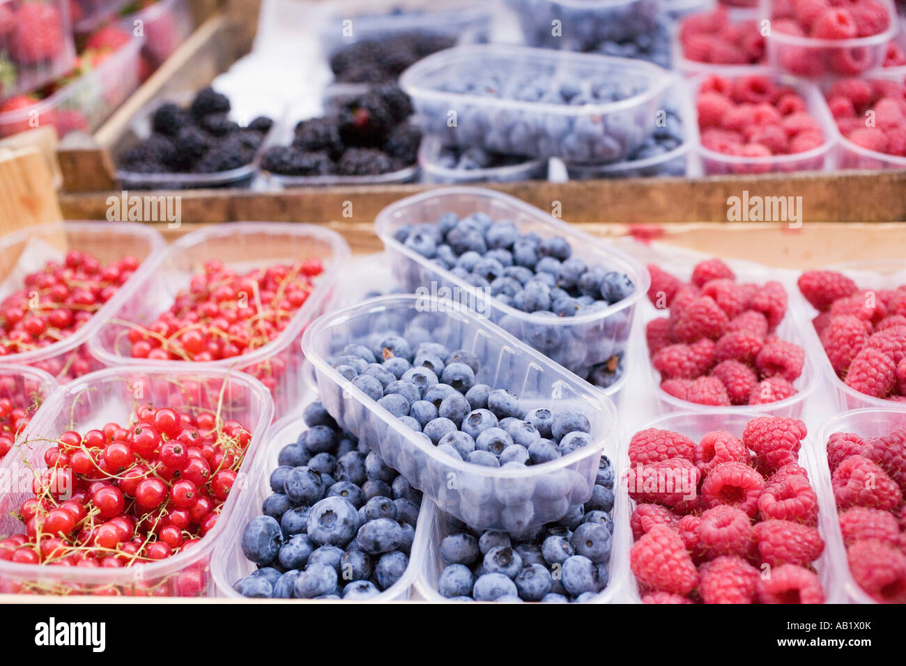 Punnets Of Blueberries High Resolution Stock Photography and Images - Alamy