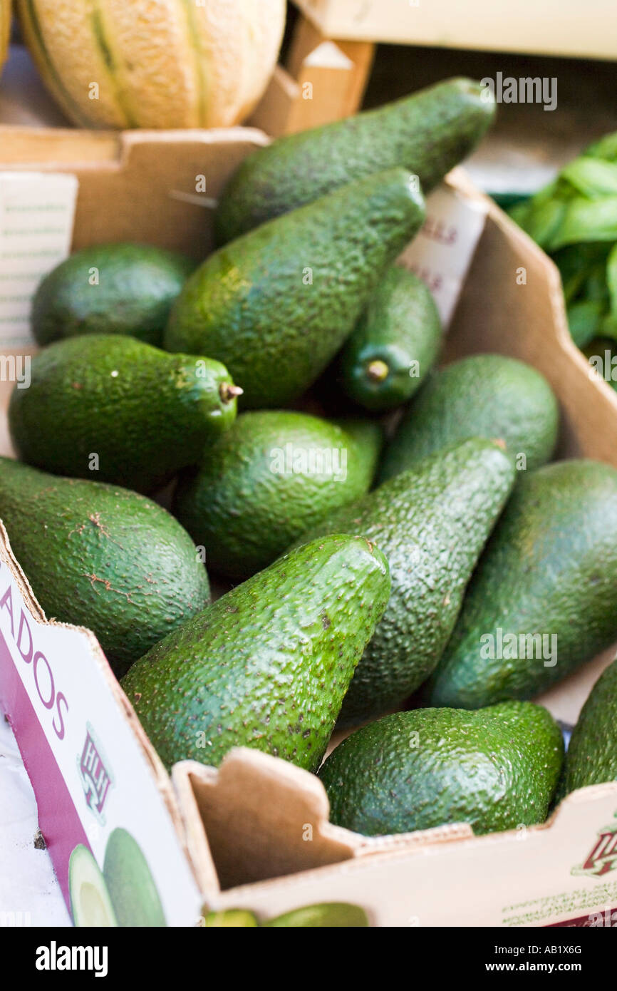 Avocados in crate hi-res stock photography and images - Alamy