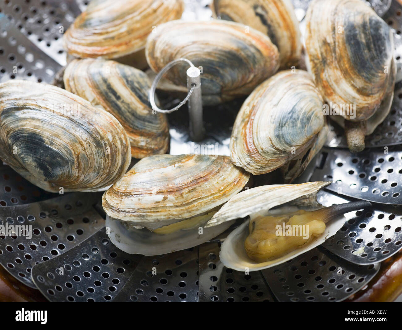 Clams in steaming tray FoodCollection Stock Photo - Alamy