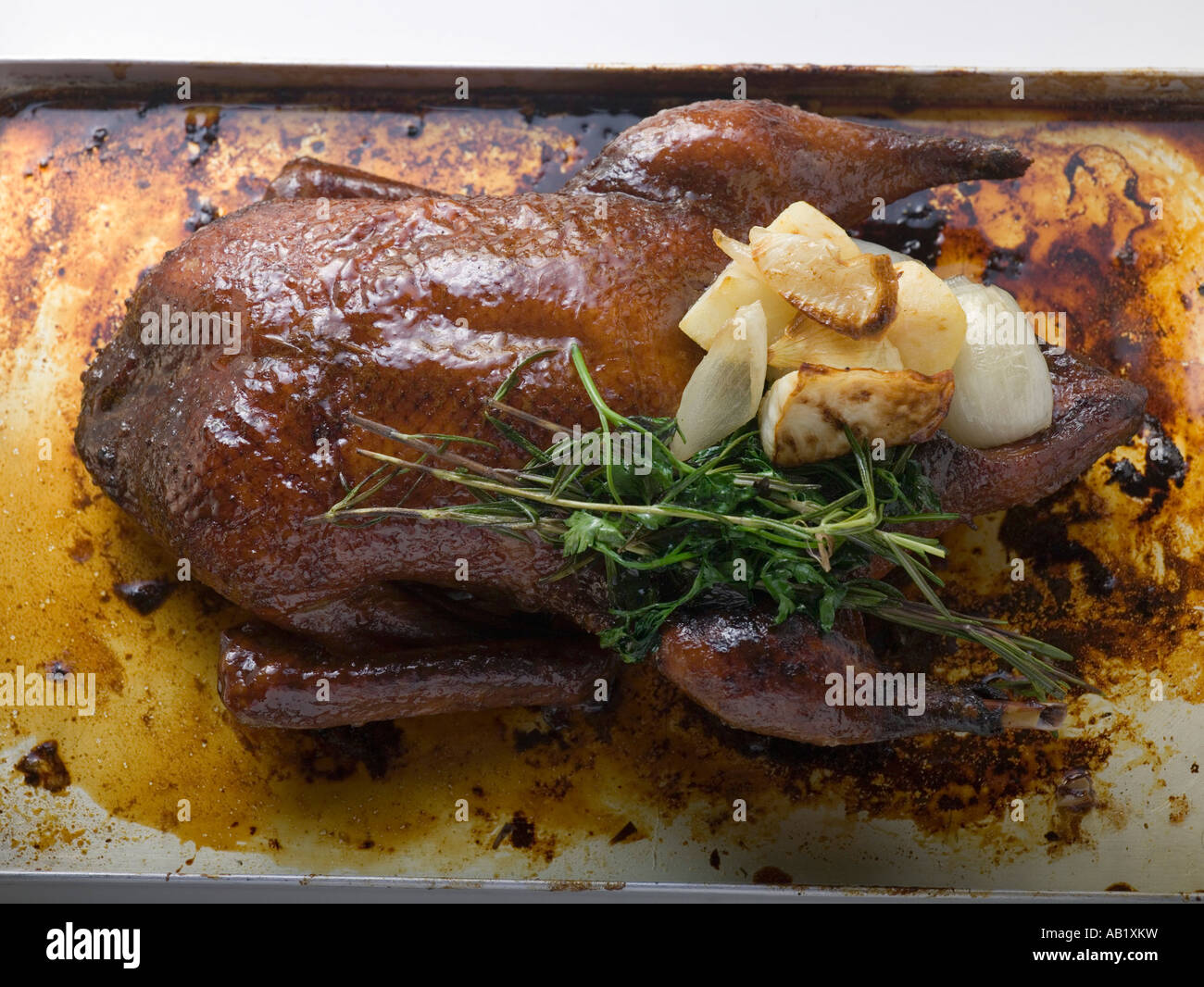 Crispy roast duck with stuffing overhead view FoodCollection Stock ...