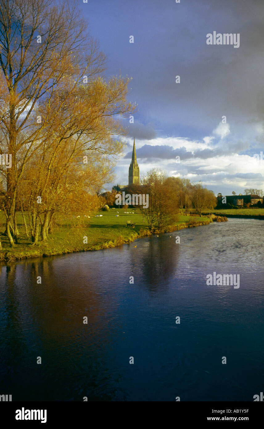The River Avon at Salisbury with Salisbury Cathedral in the distance ...