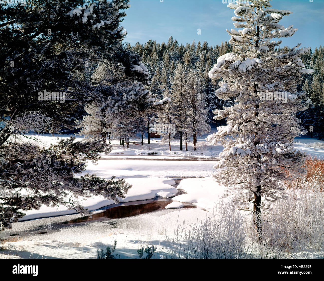 Sawtooth National Recreation area of Idaho showing winter scene near ...