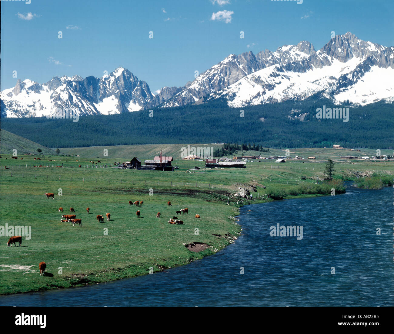 Cattle ranches idaho hi-res stock photography and images - Alamy