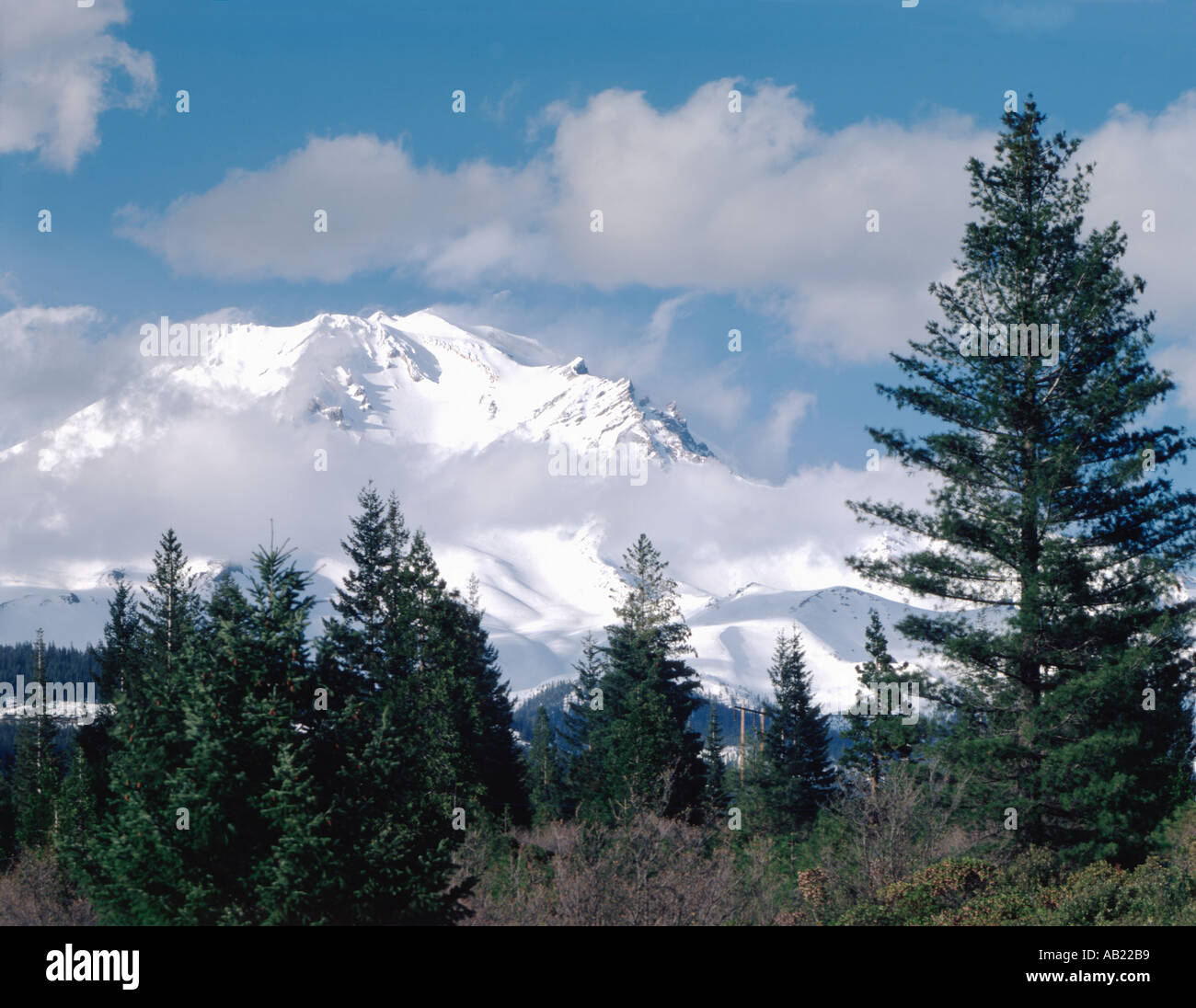 14 feet tall hi-res stock photography and images - Alamy