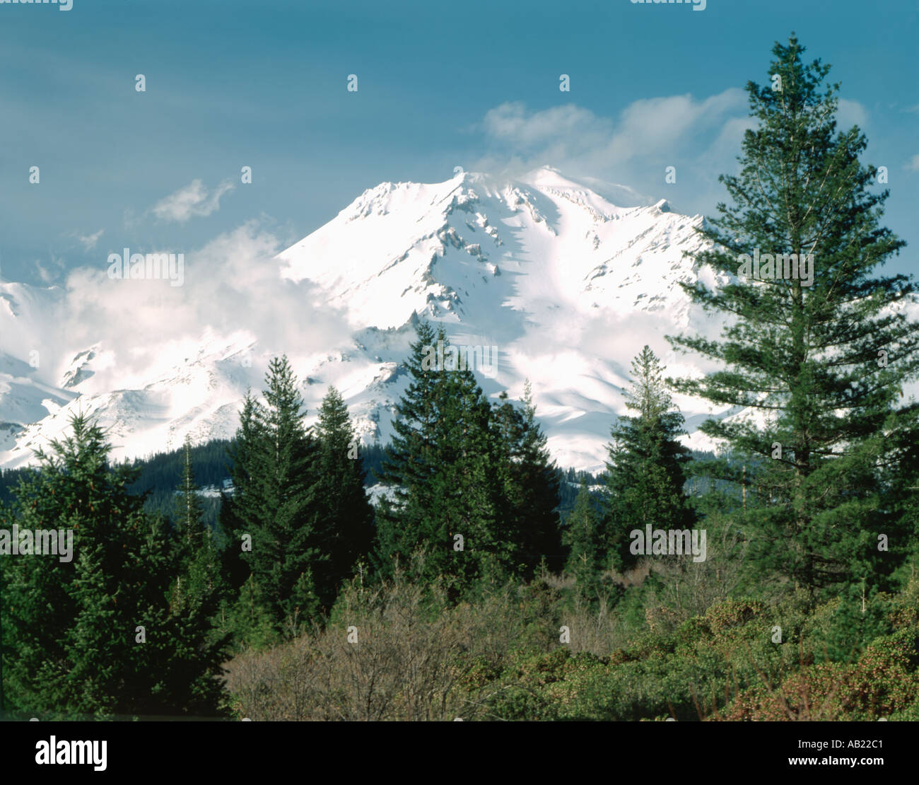 162 feet hi-res stock photography and images - Alamy