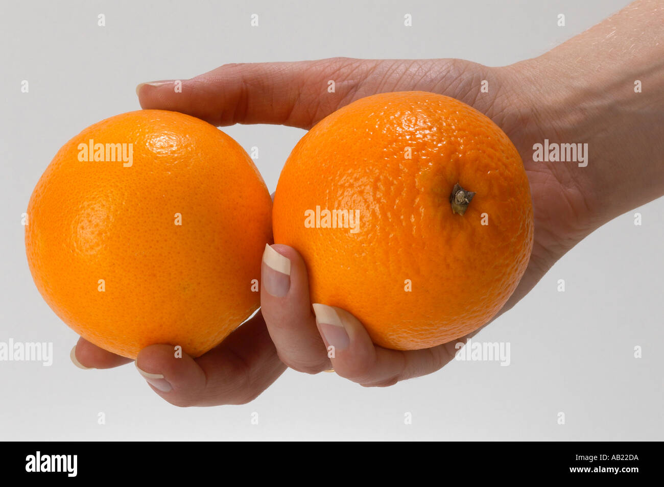 Hand holding two oranges Stock Photo - Alamy