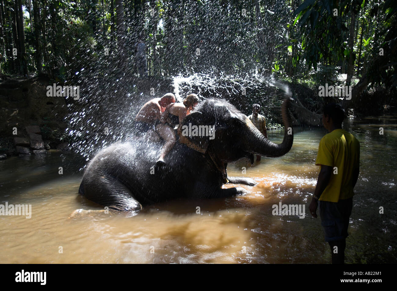 Tourists enjoy elephant shower at Sahakari Spice Farm Ponda Goa India ...
