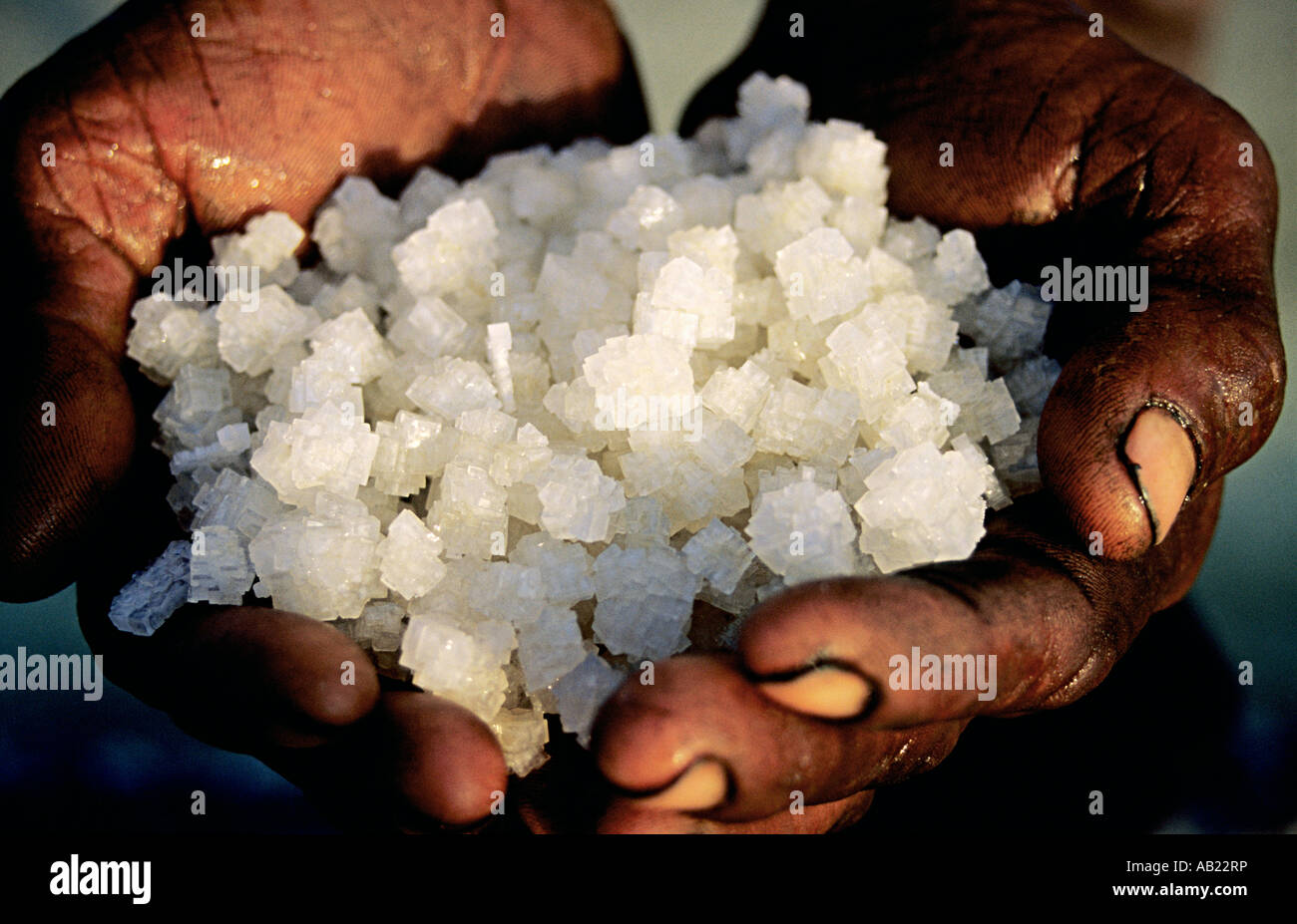Salt Crystals in little Ran of Katch, Gujarat, India Stock Photo - Alamy
