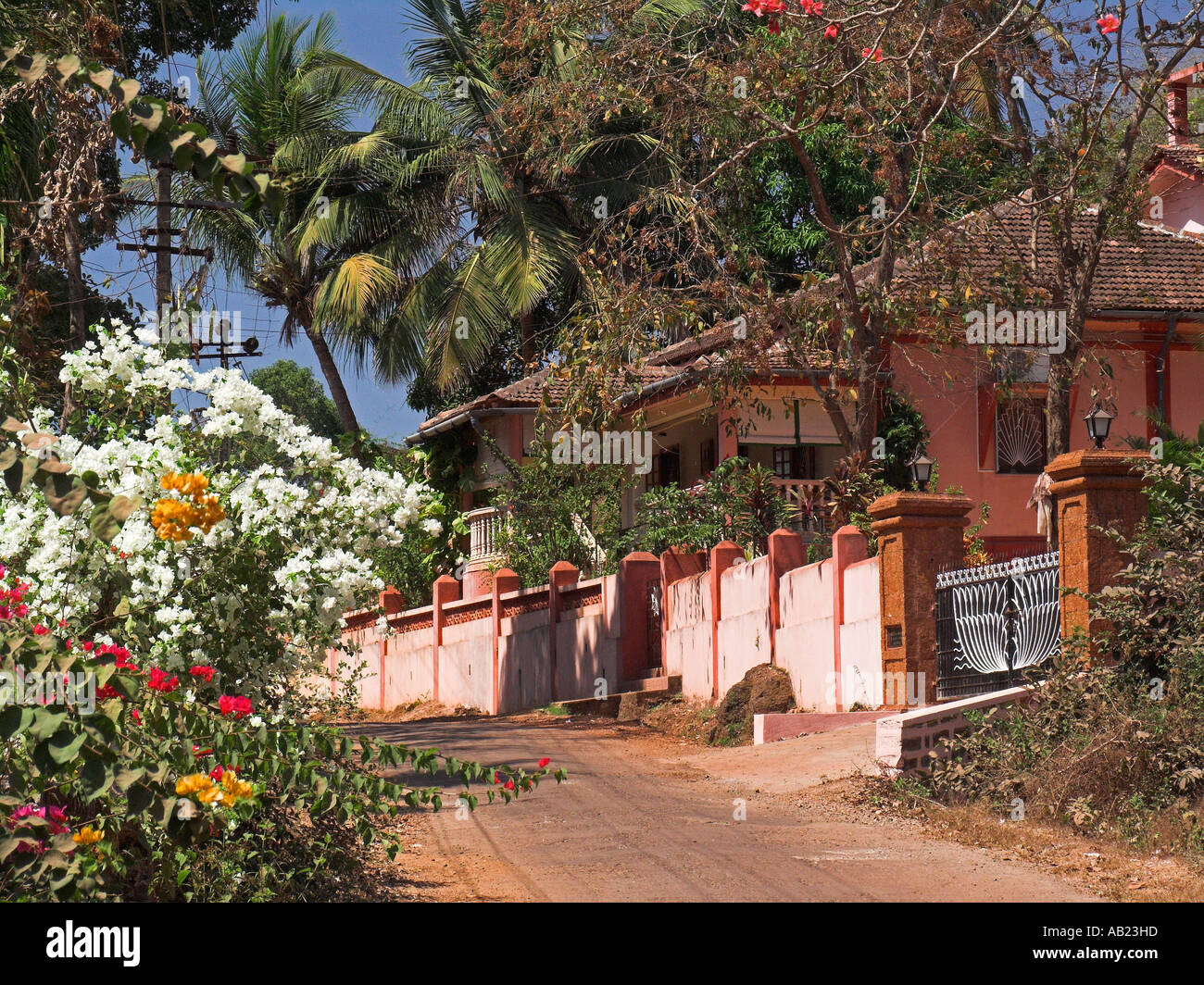 Palms and tropical flowers line pleasant Goan rural lane India Stock ...