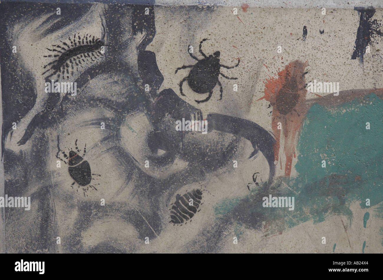 graf graffiti insects bugs spiders face eye buidling architecture front ...