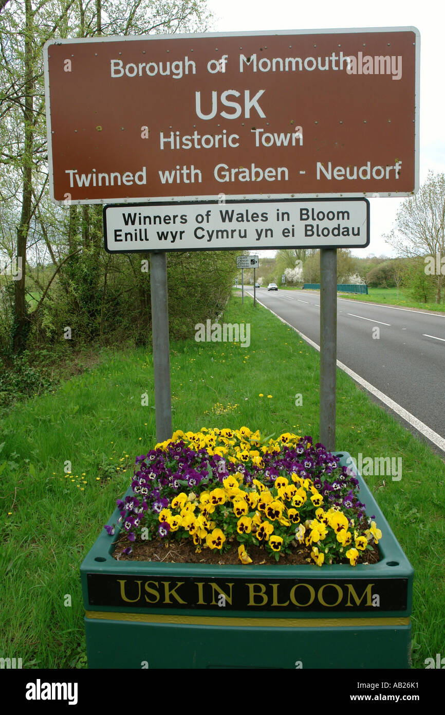 Usk In Bloom High Resolution Stock Photography and Images - Alamy