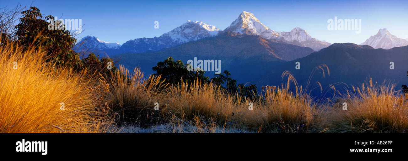 Annapurna from Poon Hill Annapurna Himalaya Nepal Stock Photo - Alamy