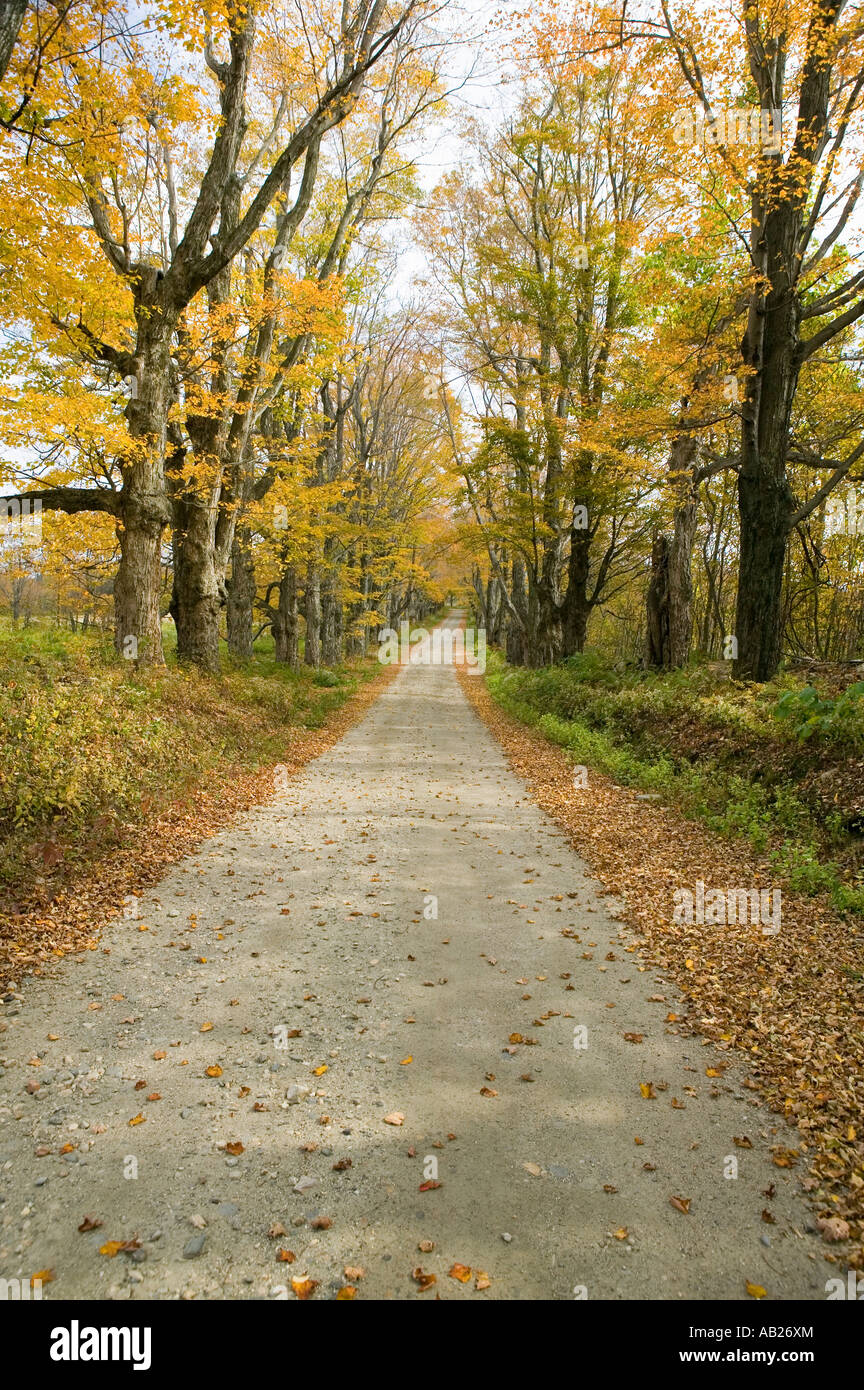 Backroads in autumn on trail hi-res stock photography and images - Alamy
