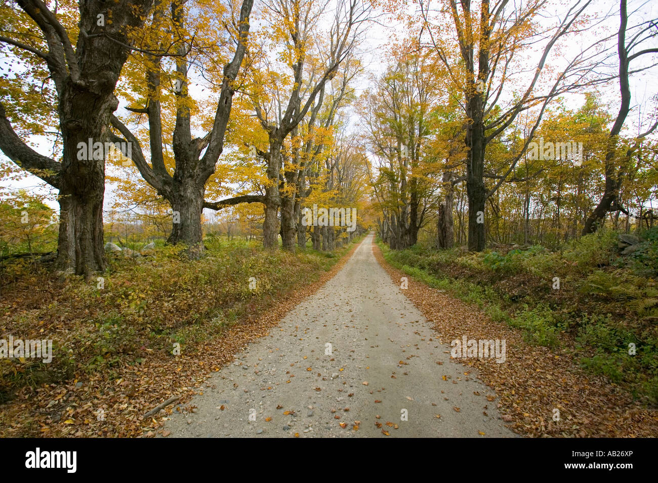 Backroads in autumn on Mohawk Trail in western Massachusetts New ...