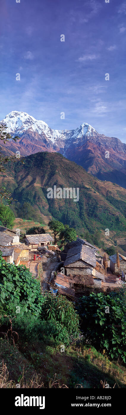Village houses ghandruk nepal hi-res stock photography and images - Alamy