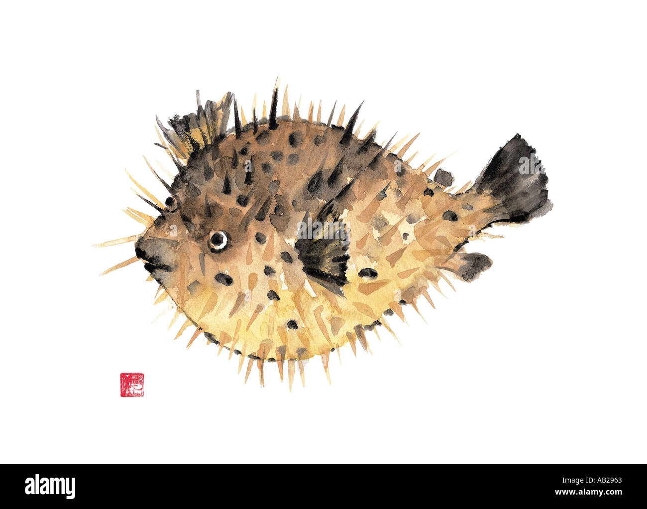 Poisson Cut Out Stock Images & Pictures - Alamy