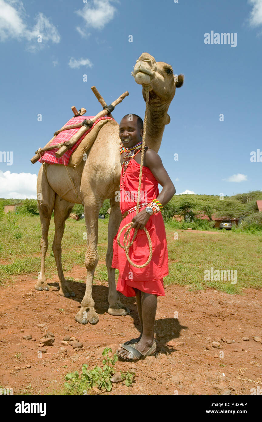 Masai Warrior in traditional red toga pose in front of his camel at ...