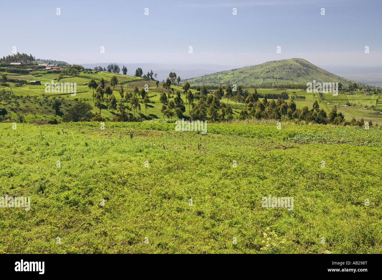 Panoramic view of Great Rift Valley in spring after much rainfall Kenya ...