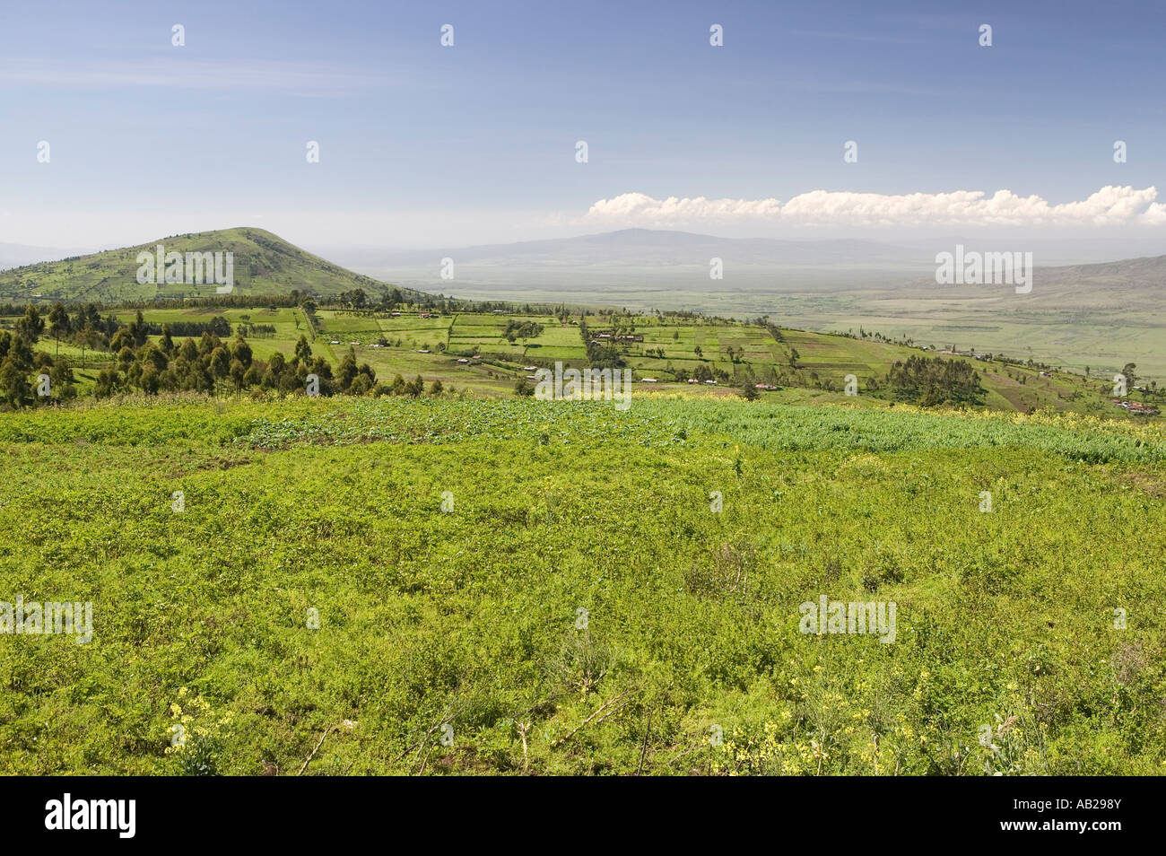 Panoramic view of Great Rift Valley in spring after much rainfall Kenya ...