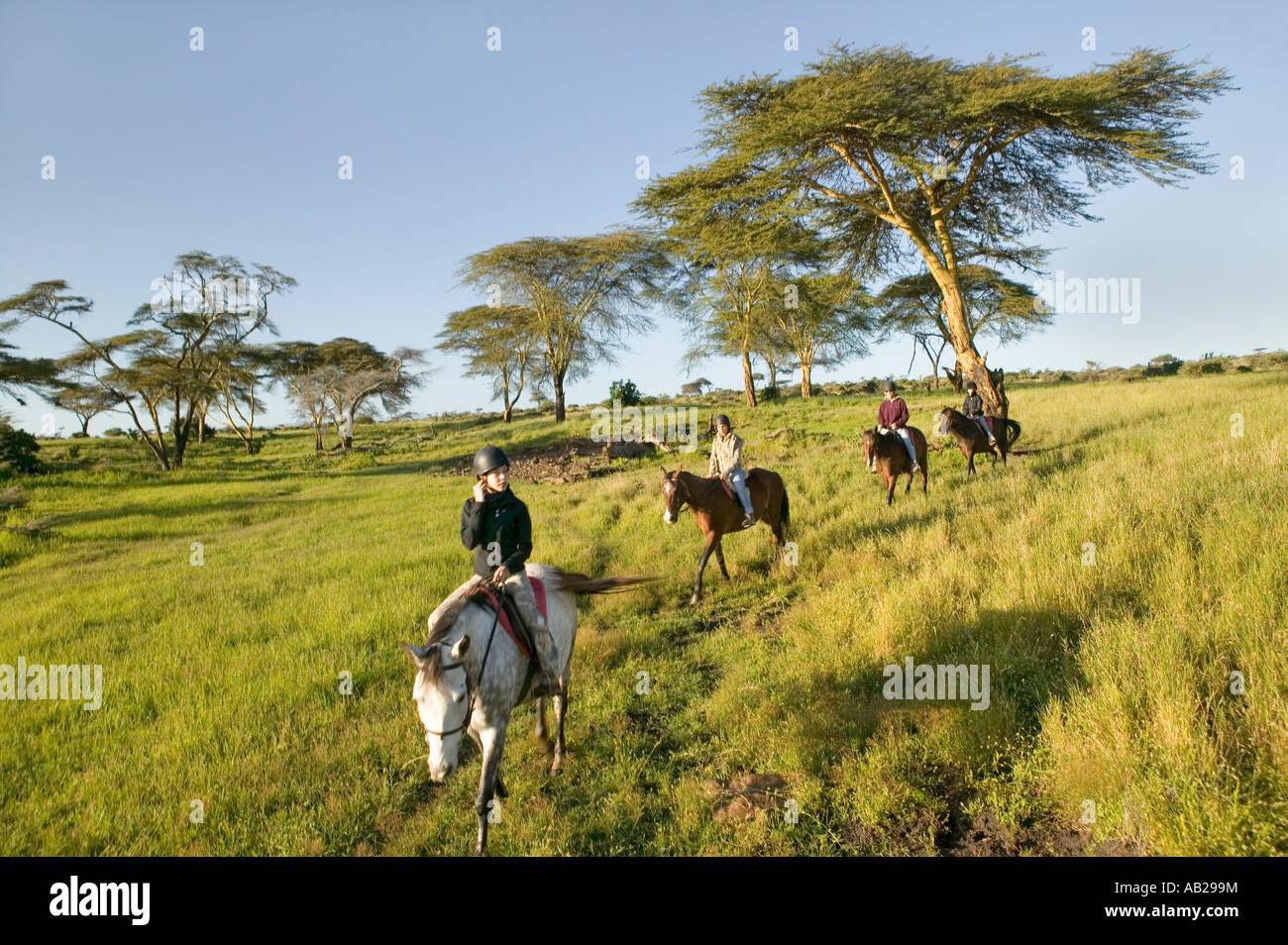 Female horseback riders ride horses in morning at the Lewa Wildlife ...