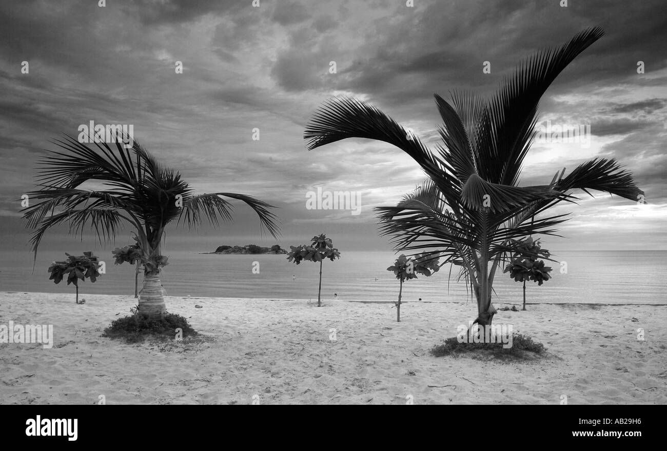 African beach Black and White Stock Photos & Images - Alamy