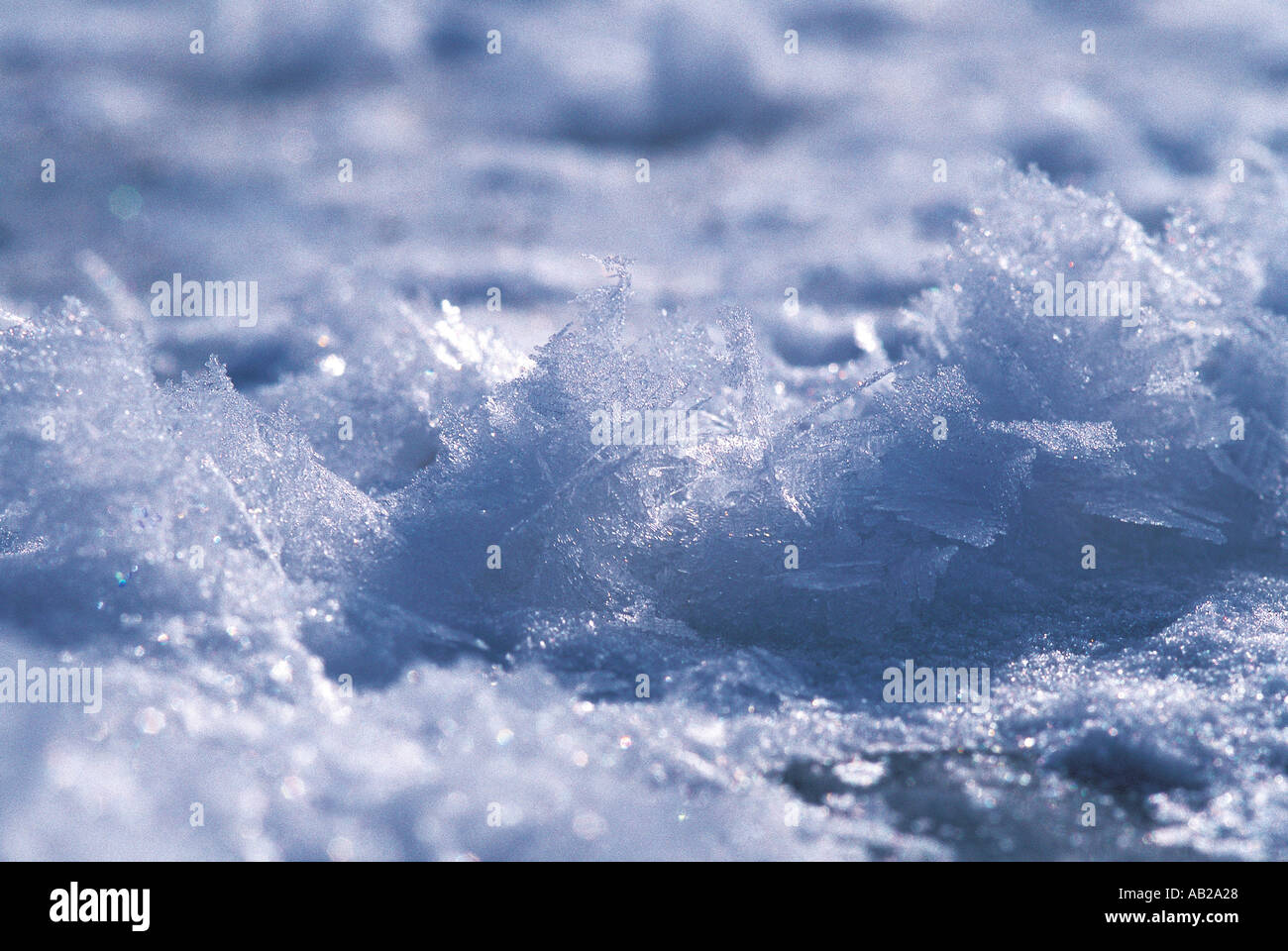 crystal of snow Ice Stock Photo - Alamy