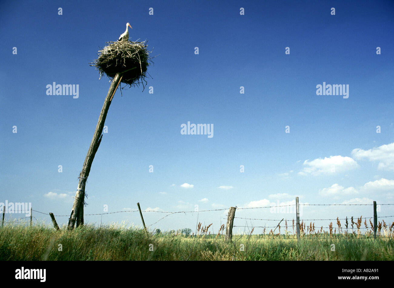 Hungary pusta hi-res stock photography and images - Alamy
