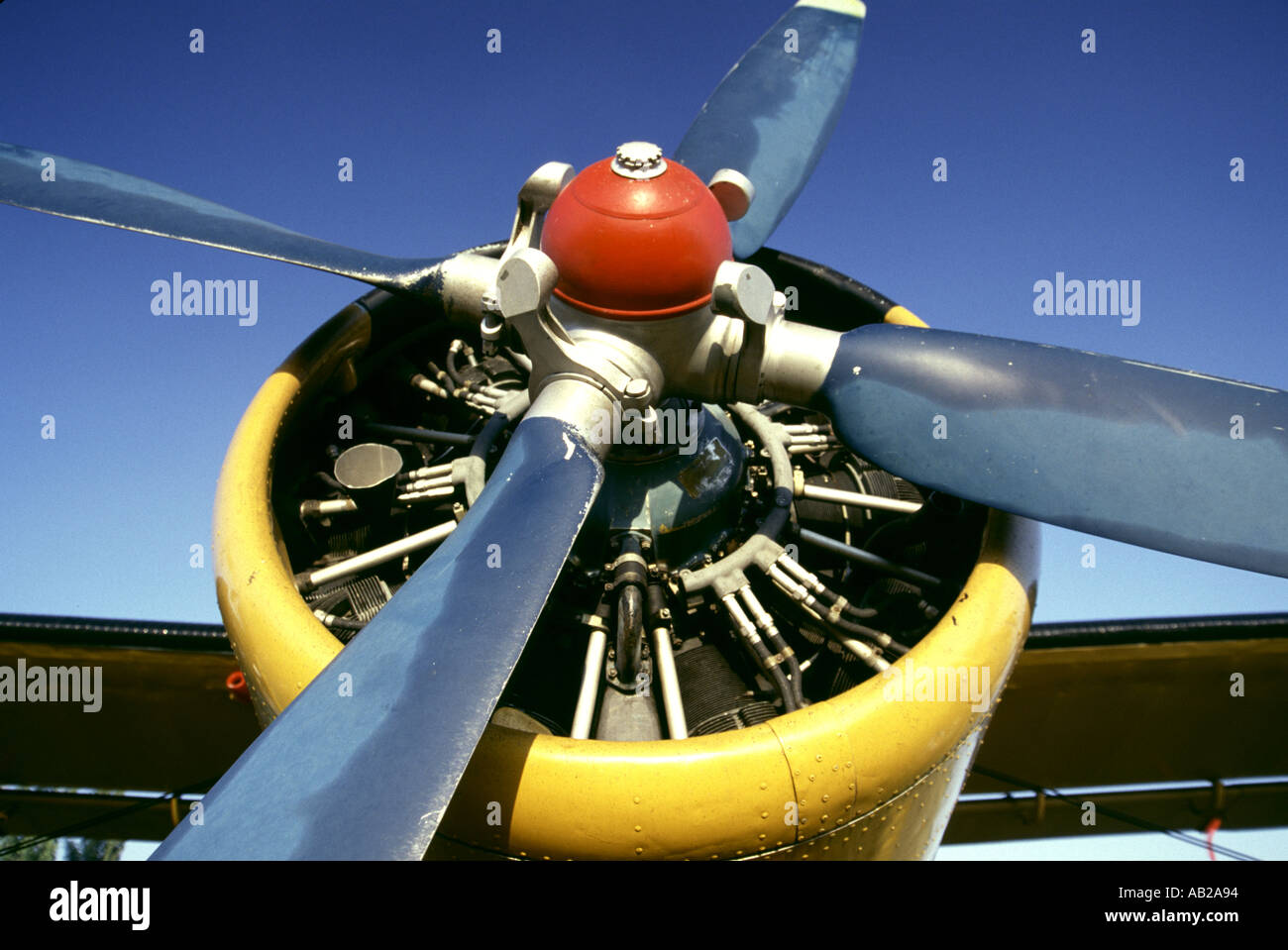 Pusta road hi-res stock photography and images - Alamy