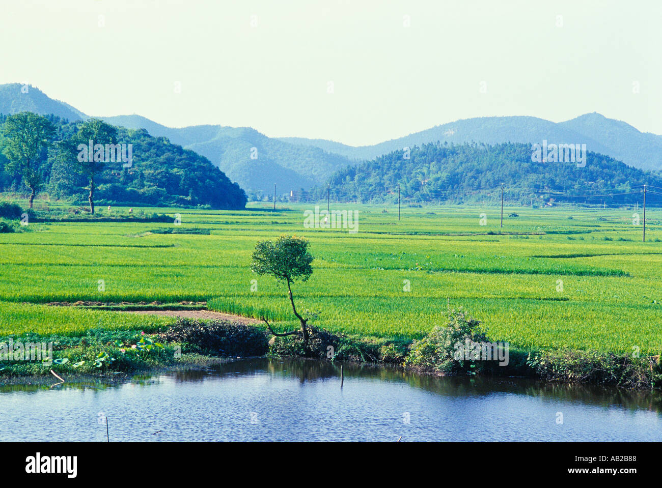 Xiangtan china hi-res stock photography and images - Alamy