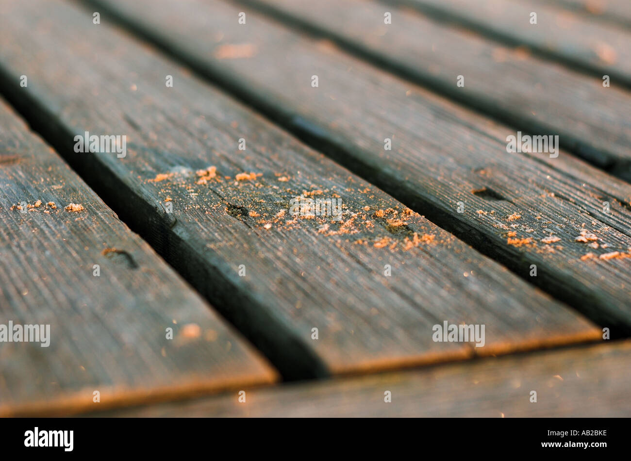 Narrow grains hi-res stock photography and images - Alamy