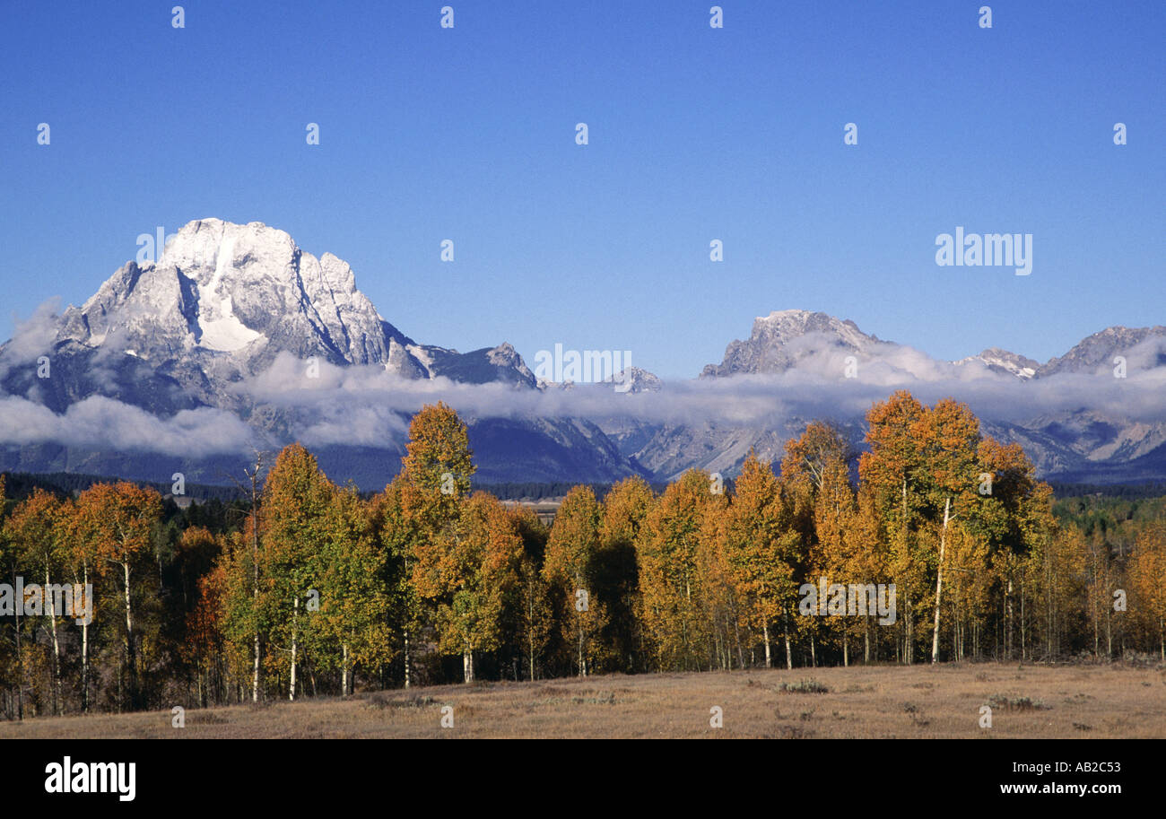 Mount Moran in Grand Teton national park Stock Photo - Alamy