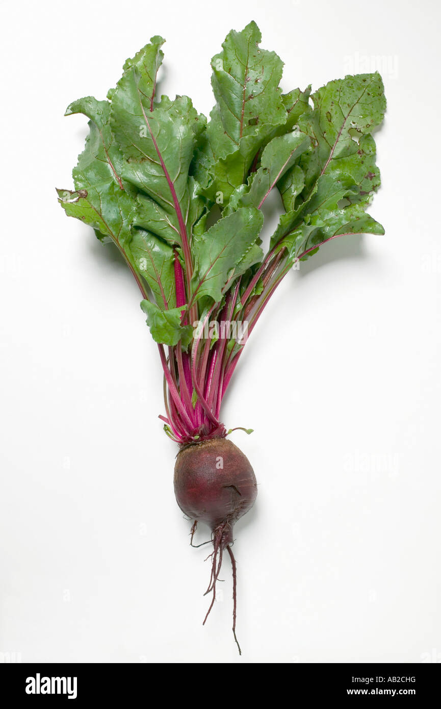 Beetroot with leaves FoodCollection Stock Photo - Alamy