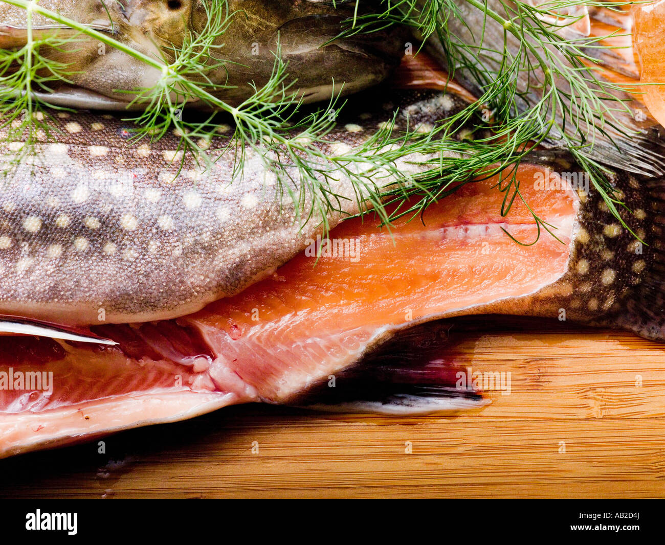 Brook trout with dill hi-res stock photography and images - Alamy