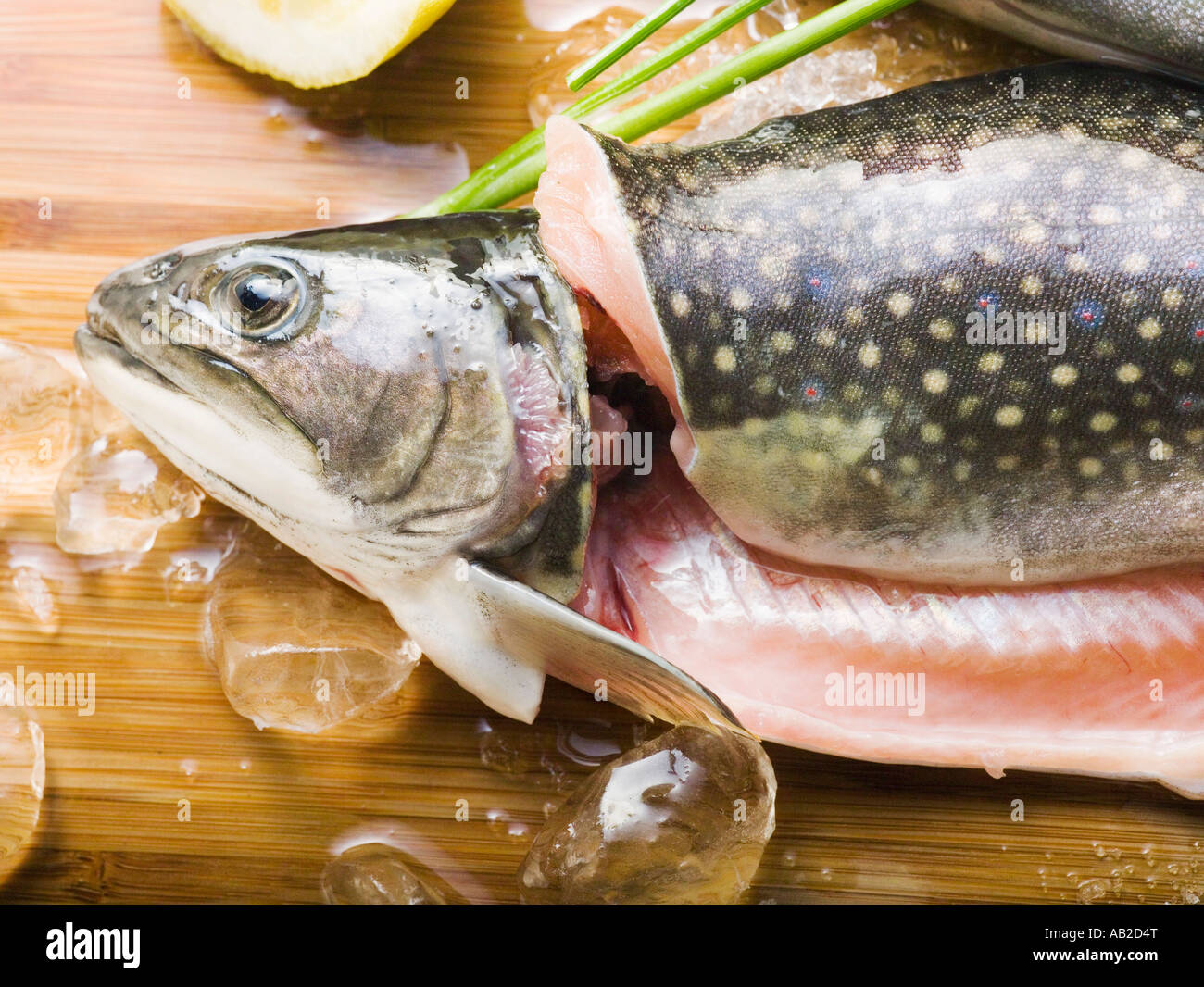Fresh brook charr cut open FoodCollection Stock Photo - Alamy