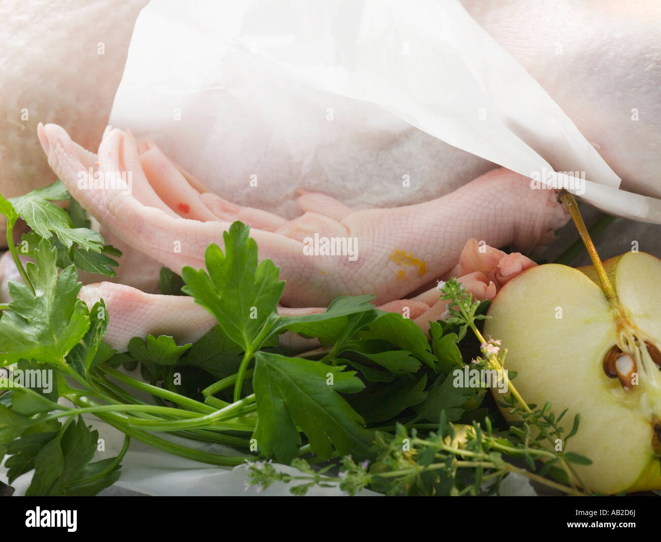 Fresh goose goose feet herbs and apple detail FoodCollection Stock ...