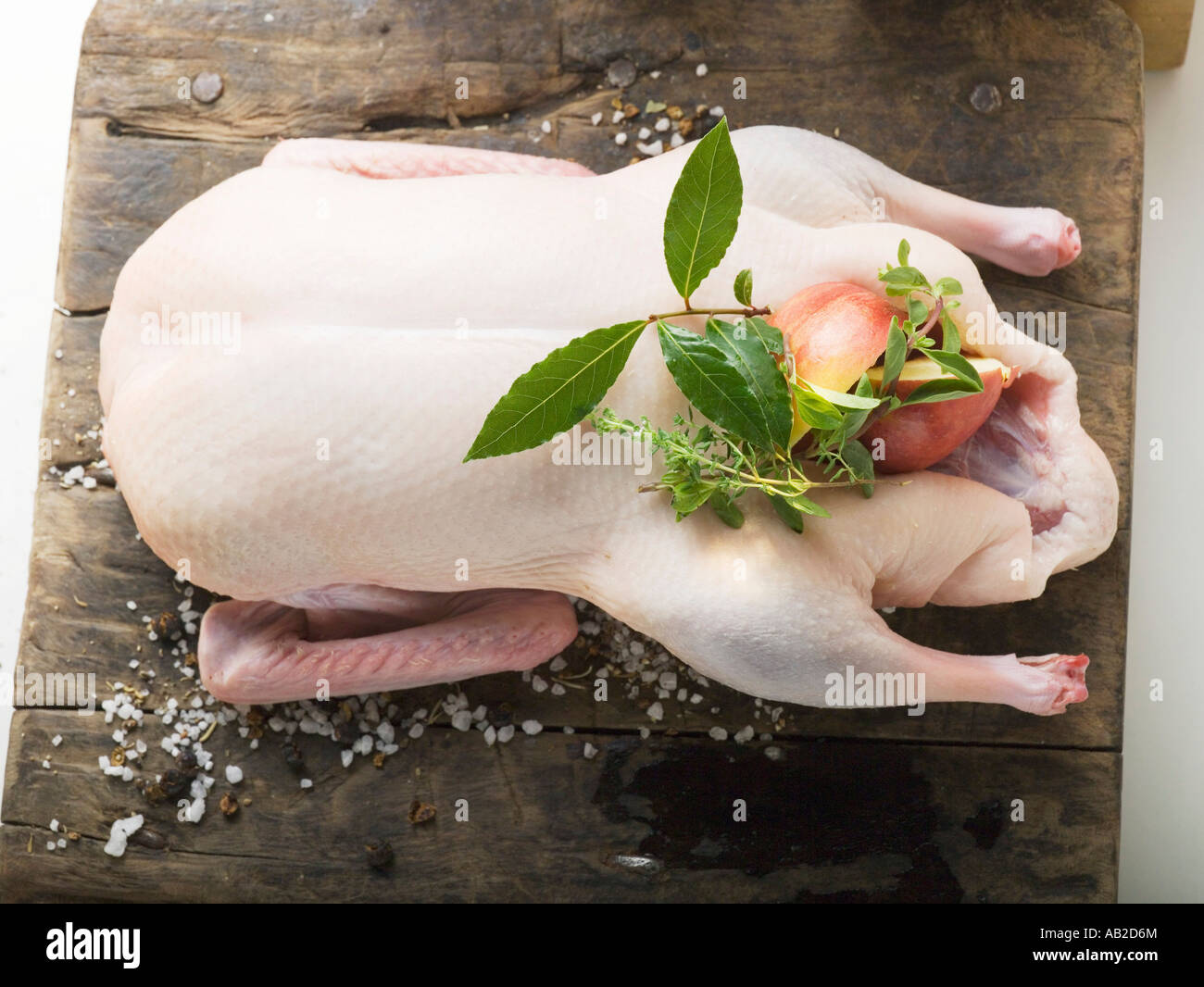 Raw stuffed goose overhead view FoodCollection Stock Photo - Alamy