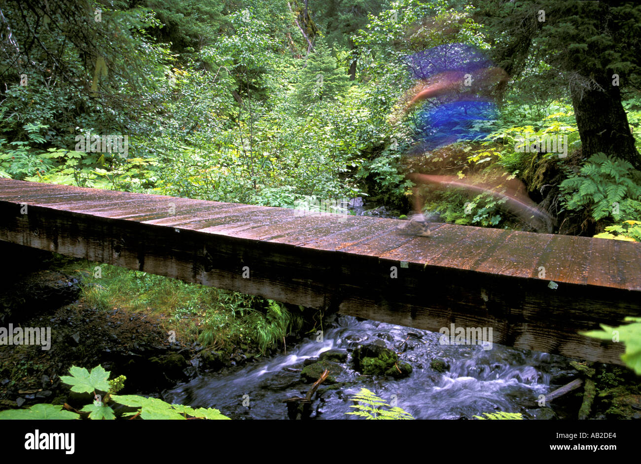 Resurrection river trail hi-res stock photography and images - Alamy