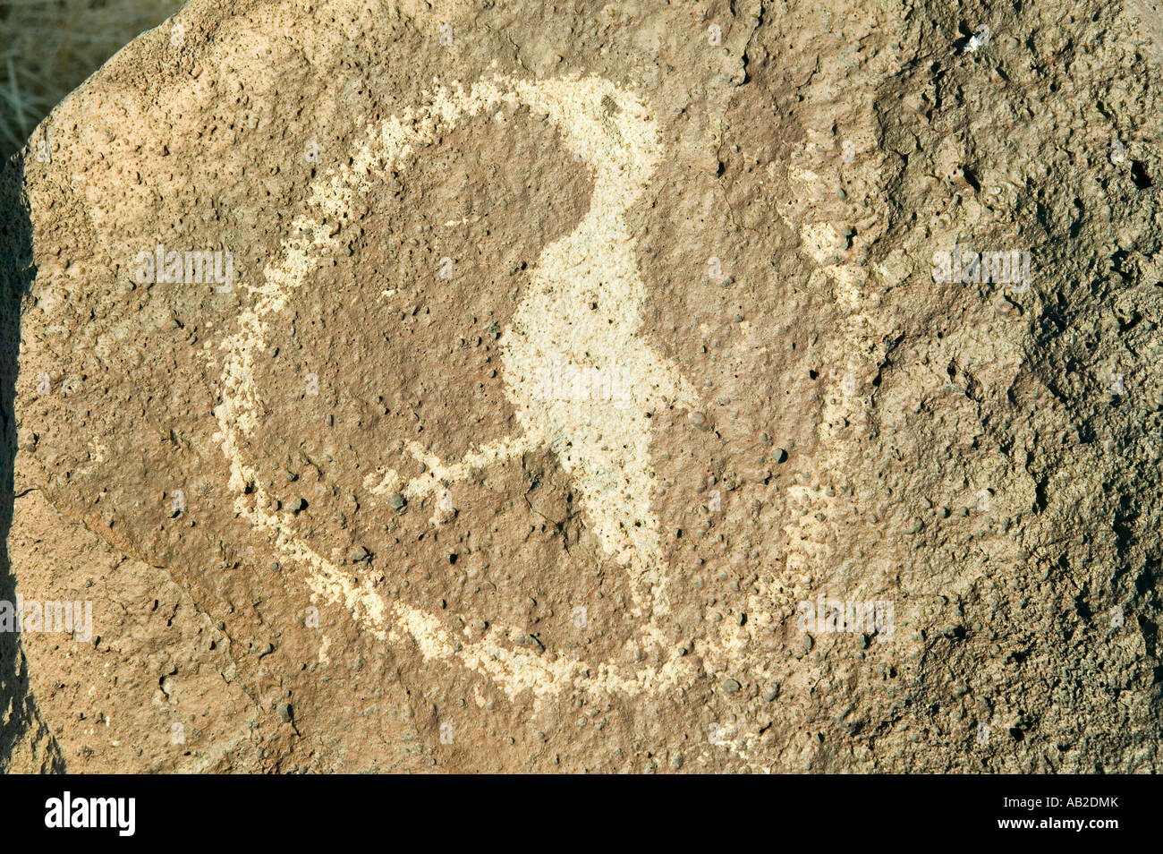 Native American petroglyphs featuring an image of a bird at Petroglyph ...