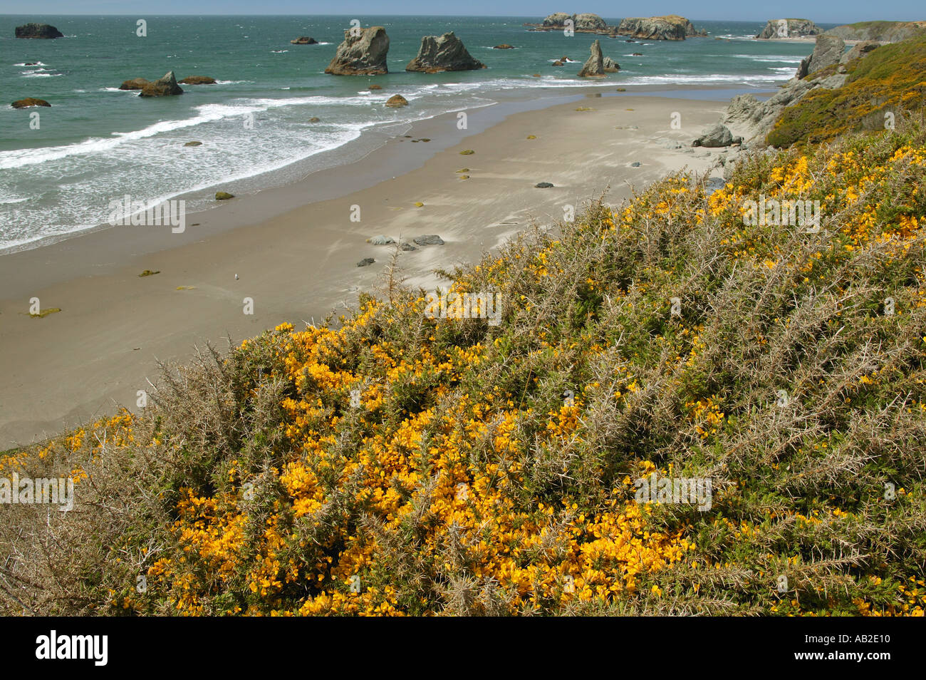 Southern Oregon Coast Brandon Oregon Stock Photo - Alamy