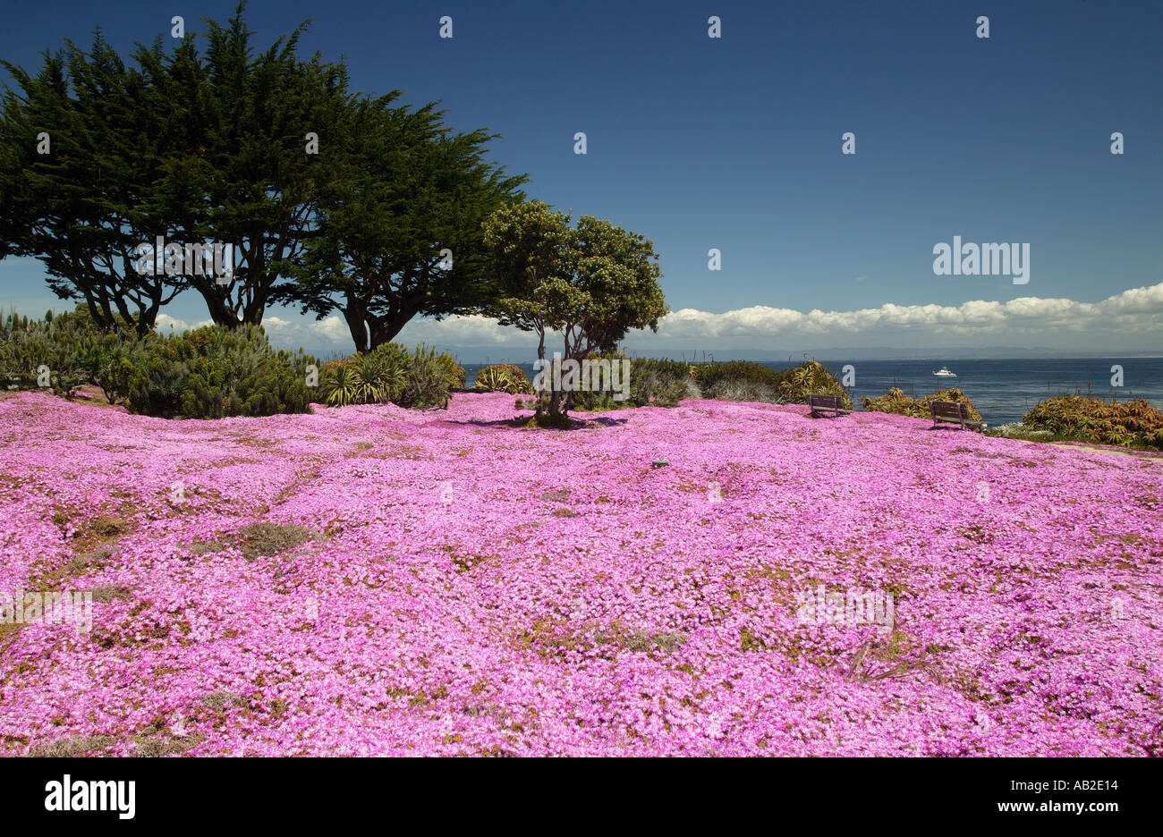 Pacific Grove California Stock Photo - Alamy