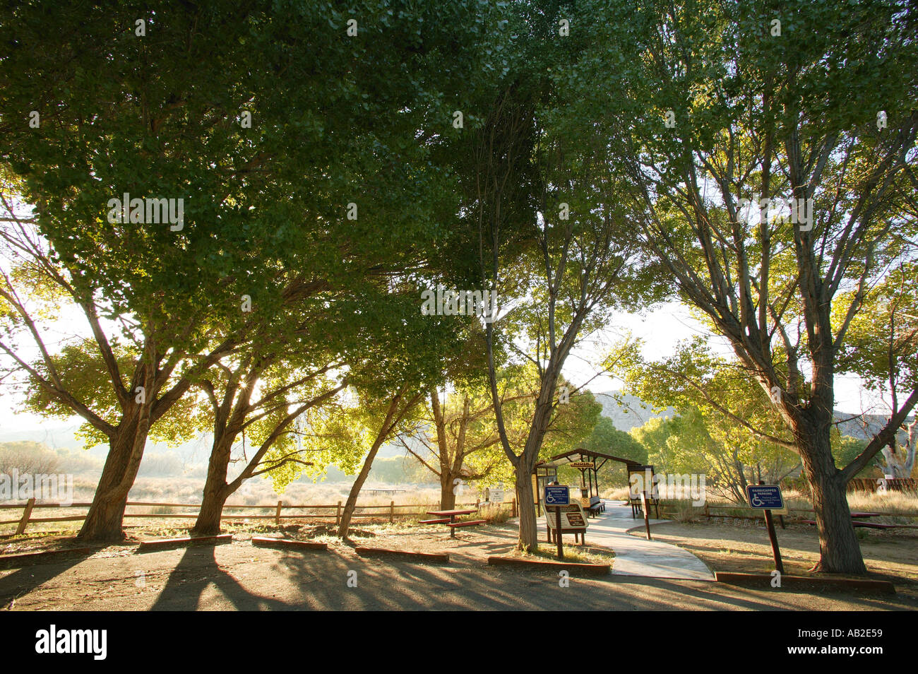 Big Morongo Canyon Preserve Morongo California Stock Photo - Alamy