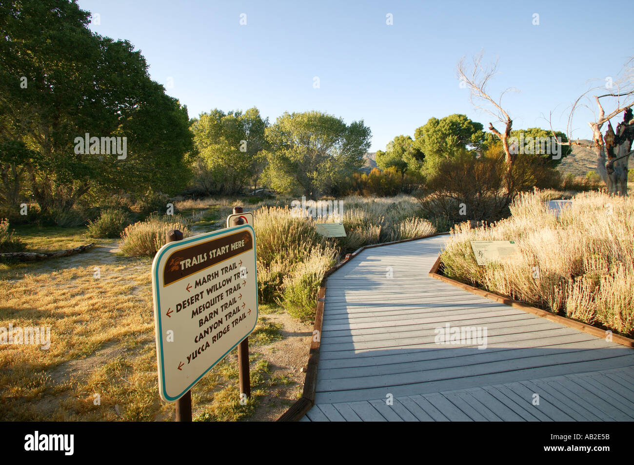 Big Morongo Canyon Preserve Marsh Loop Boardwalk Trail Morongo ...