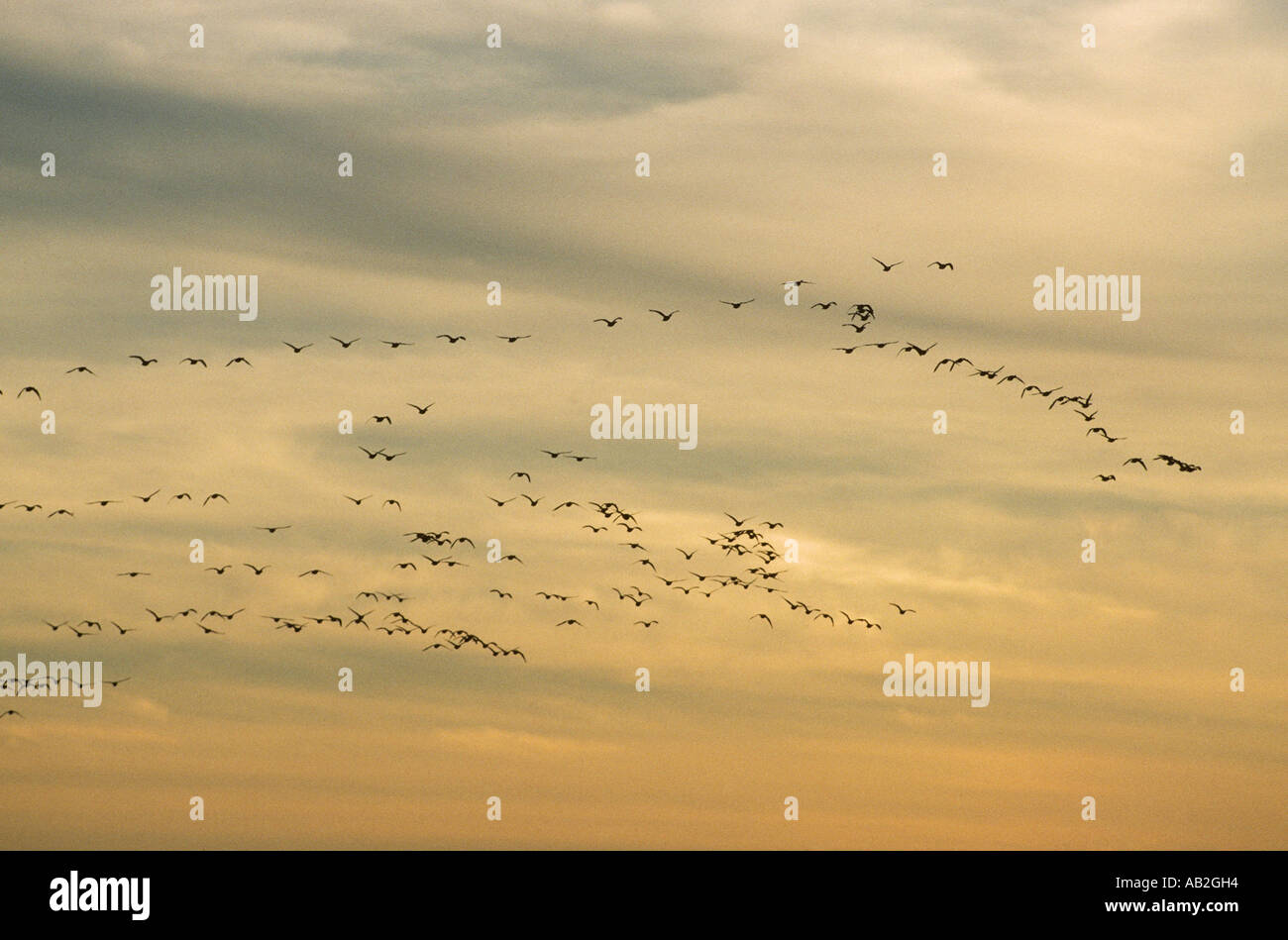 Brigantine new jersey hi-res stock photography and images - Alamy