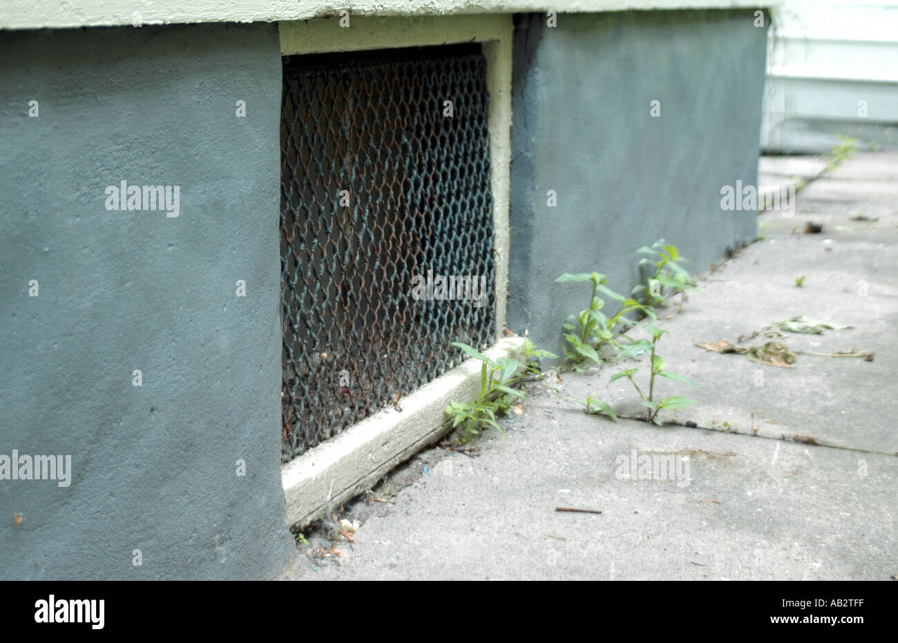 Basement window grate hi-res stock photography and images - Alamy
