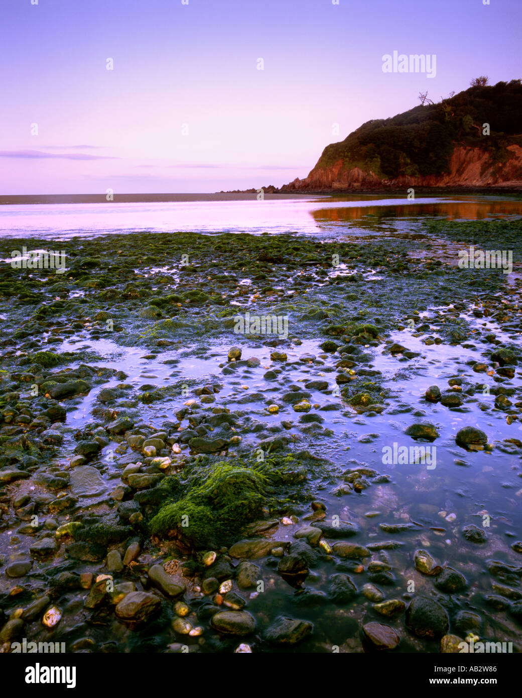 Mothecombe Beach South Devon at sunrise over Erme estuary with pink sky ...