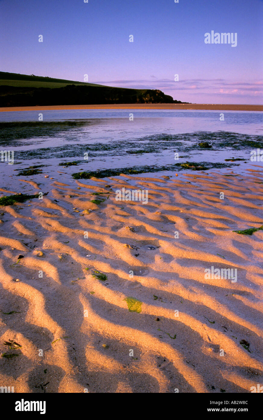 Mothecombe hi-res stock photography and images - Alamy