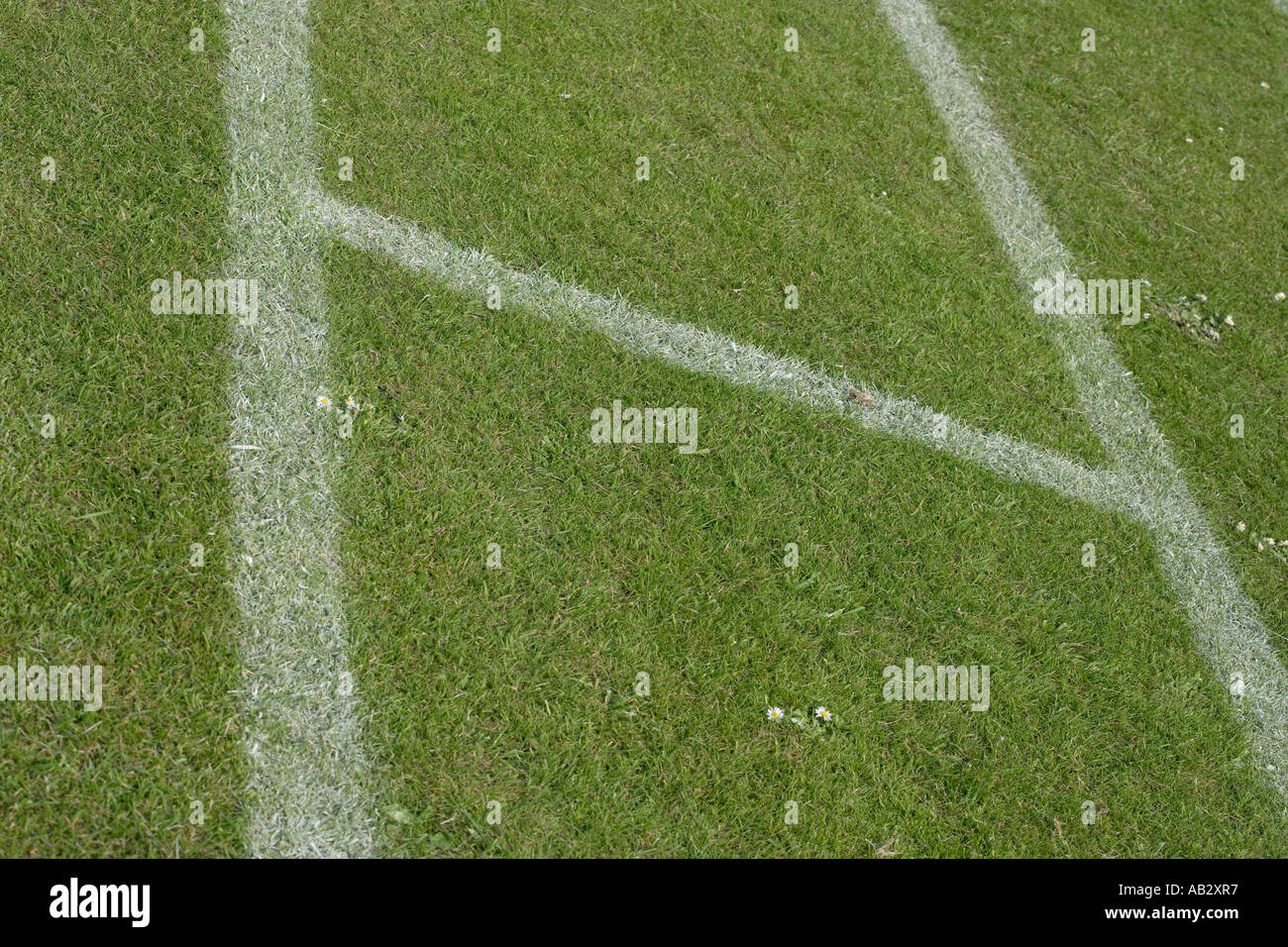 letter H from the painted grass of a running track Stock Photo - Alamy